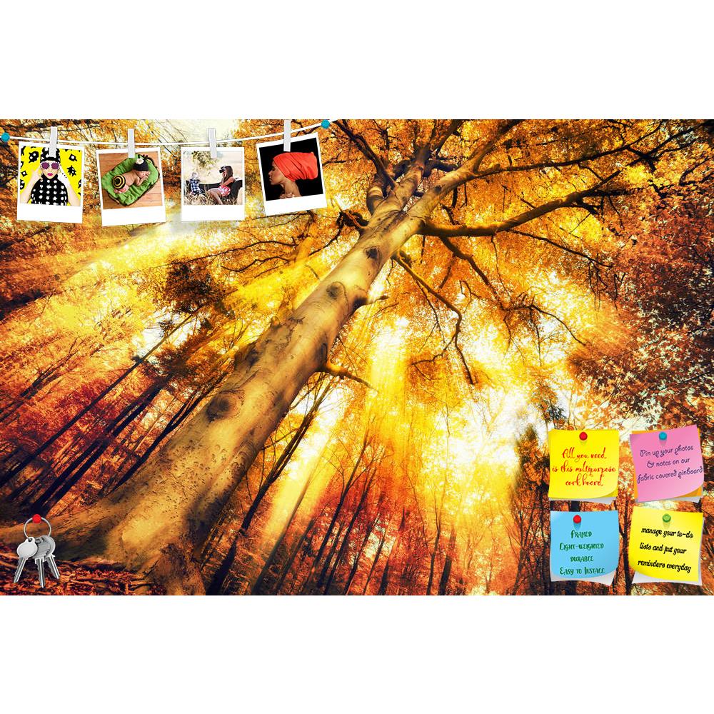 ArtzFolio Forest Scenery In Autumn Printed Bulletin Board Notice Pin ...