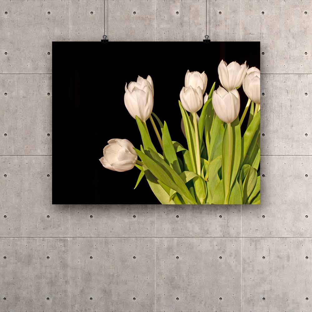 tulips canvas