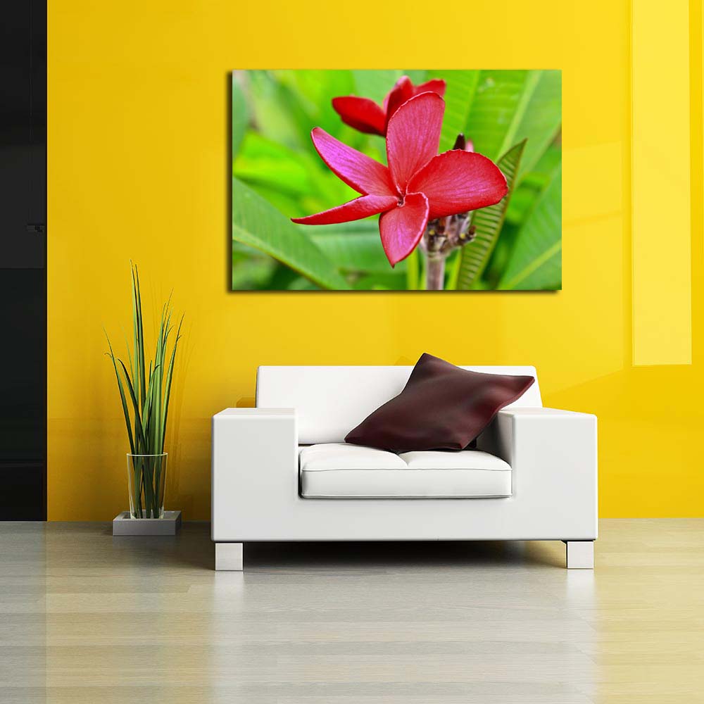 Red Frangipani Flowers Canvas Painting Synthetic Frame – ArtzFolio.com