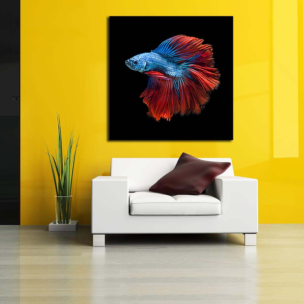 Siamese Fighting Fish Canvas Painting Synthetic Frame – ArtzFolio.com