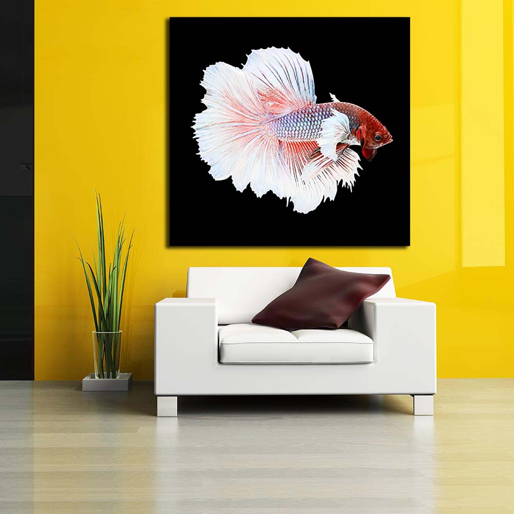 Betta Fish Canvas Painting Synthetic Frame – ArtzFolio.com