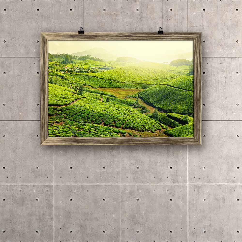 ArtzFolio Image of Tea Plantations, Munnar, Kerala India Canvas ...