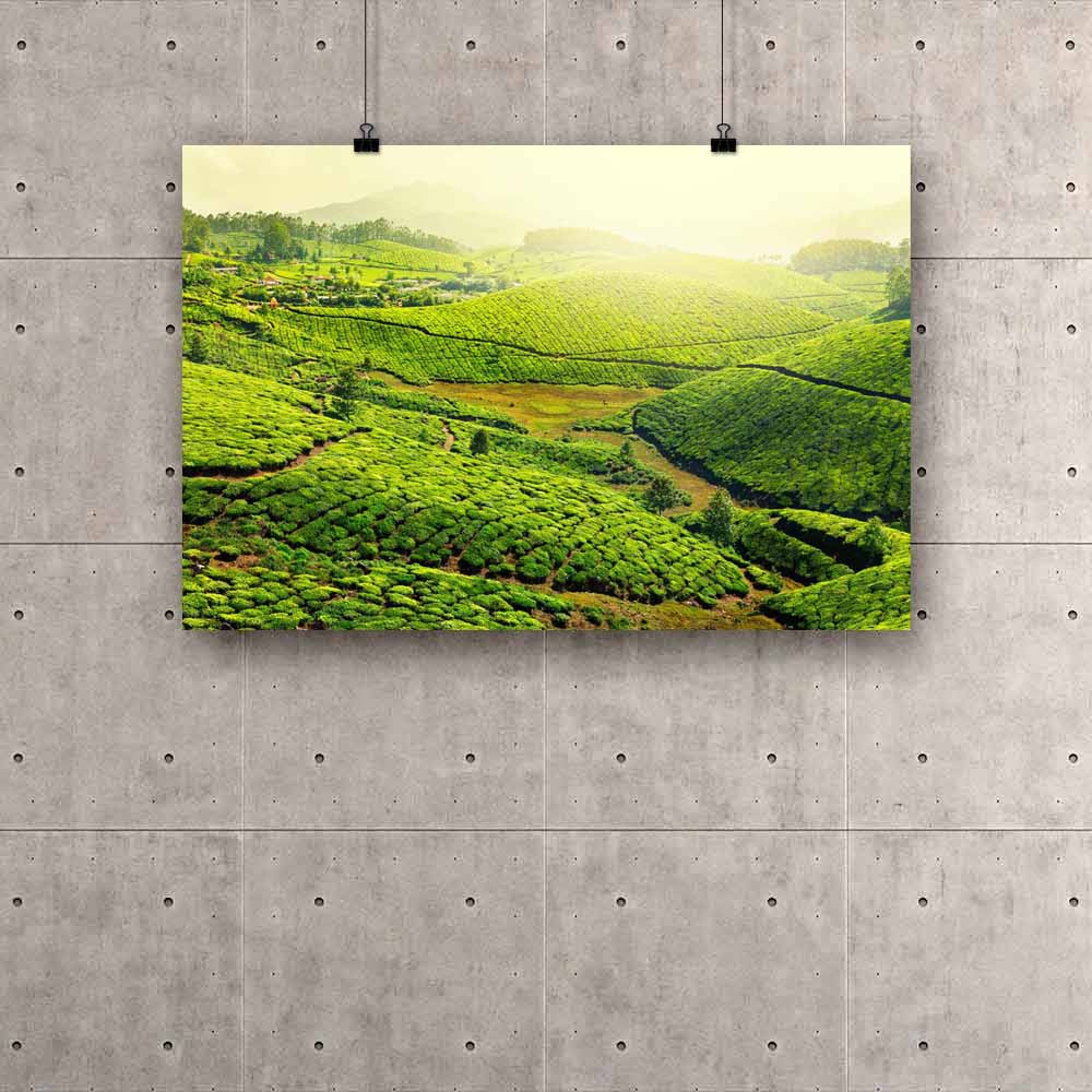 ArtzFolio Image of Tea Plantations, Munnar, Kerala India Unframed ...