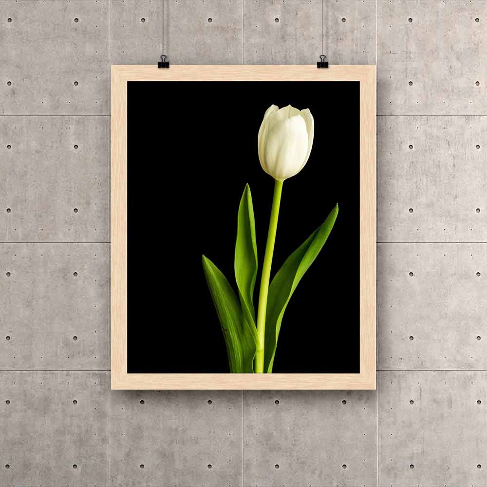 tulips canvas