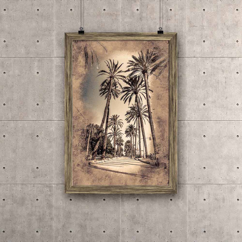 ArtzFolio Palm Trees Along Coast In Palma De Mallorca, Spain D5 Canvas ...